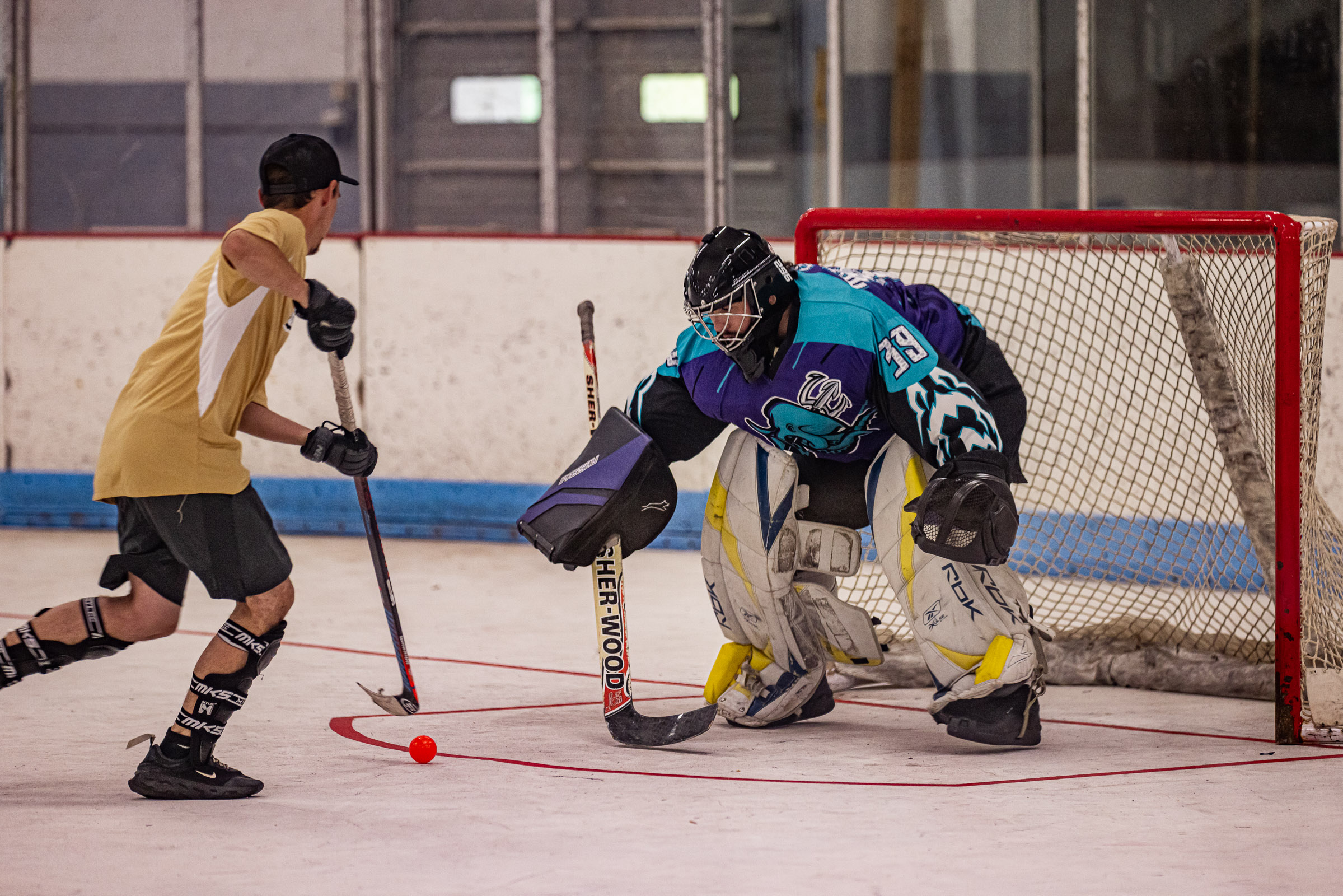 Floor Hockey Registration – Healthy Buffalo – Creating a Healthier and ...